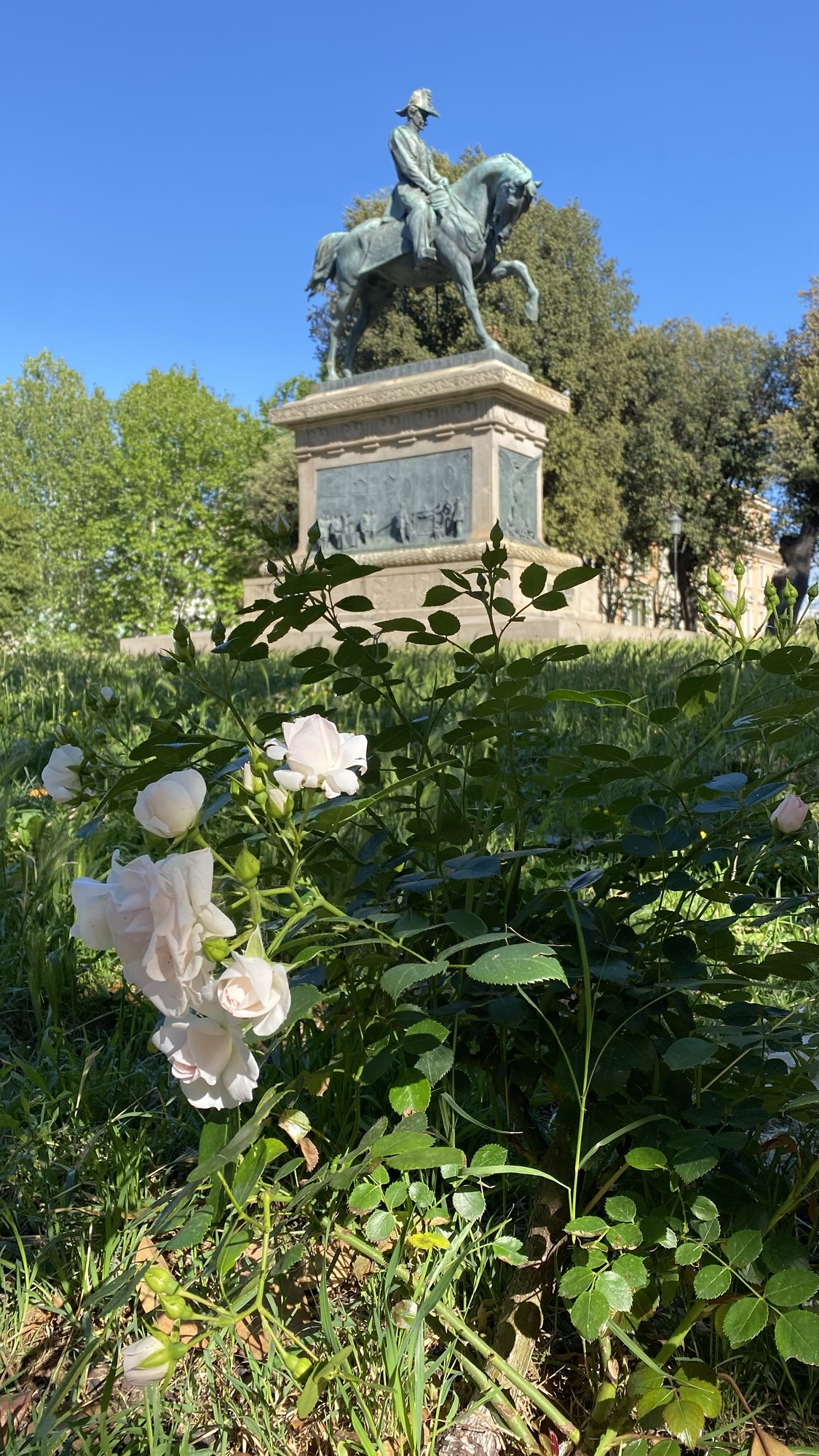 Casual Ruins I: Rome – Ann Davis-Rowe