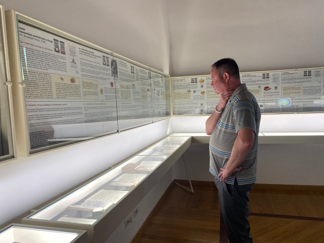 Casual Ruins I: Rome – Ann Davis-Rowe