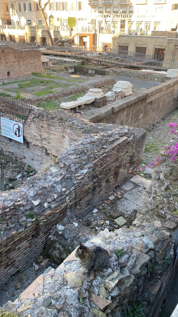 Casual Ruins I: Rome – Ann Davis-Rowe