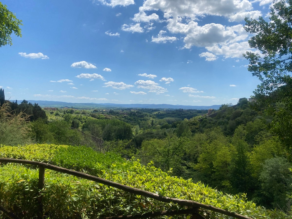 Casual Ruins III: Siena – Ann Davis-Rowe